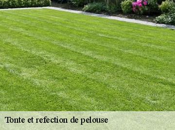 Tarif Tonte Pelouse Black